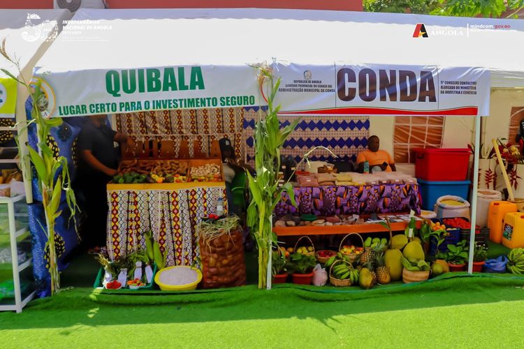 Portal - mindcom.gov.ao