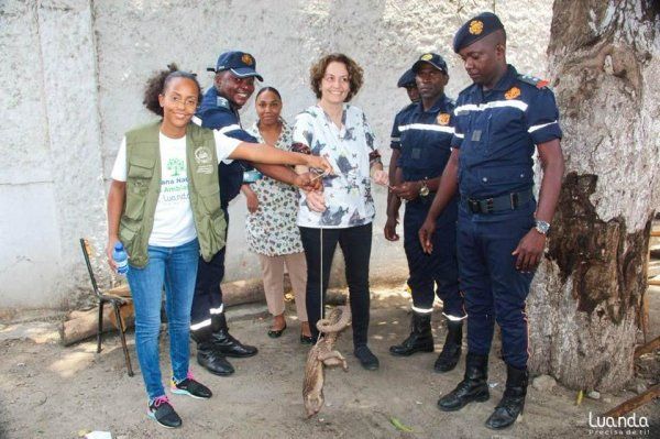 Animal De Espécie Em Via De Extinção Resgatado Por Órgãos Do Gpl ...